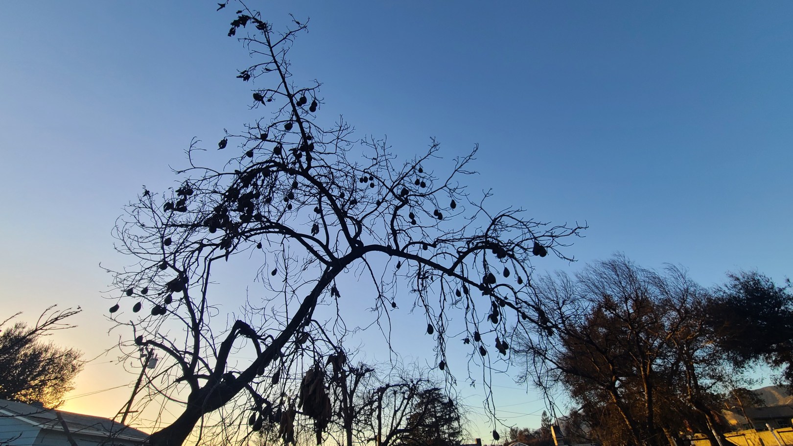 Mike Rothschild – Journalist, author, conspiracy expert