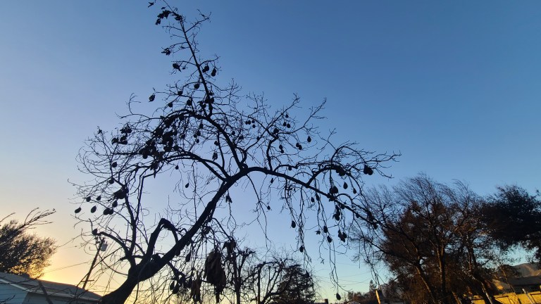 Mike Rothschild – Journalist, author, conspiracy expert