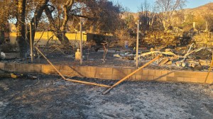 Mike Rothschild – Journalist, author, conspiracy expert