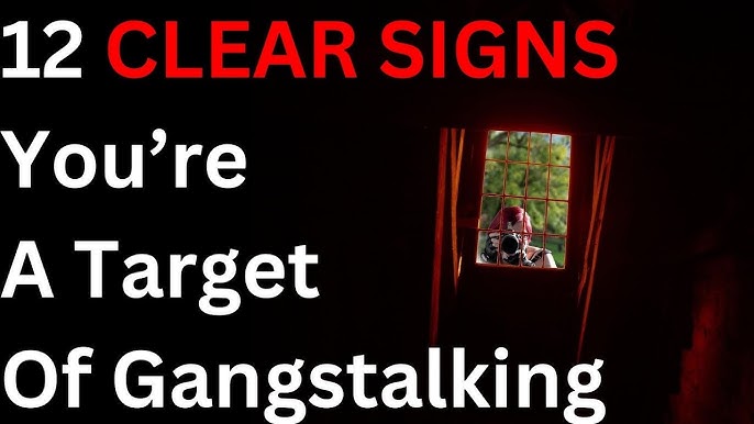 The Gangstalking Delusion – Mike Rothschild